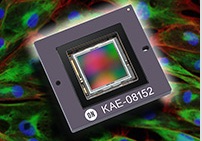 IT-EMCCD image sensors target low-light applications